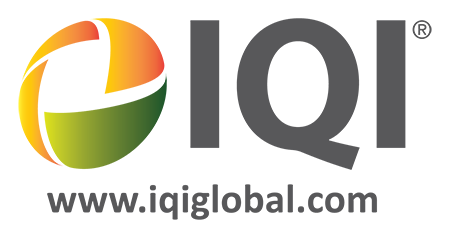 About - IQI CS Group